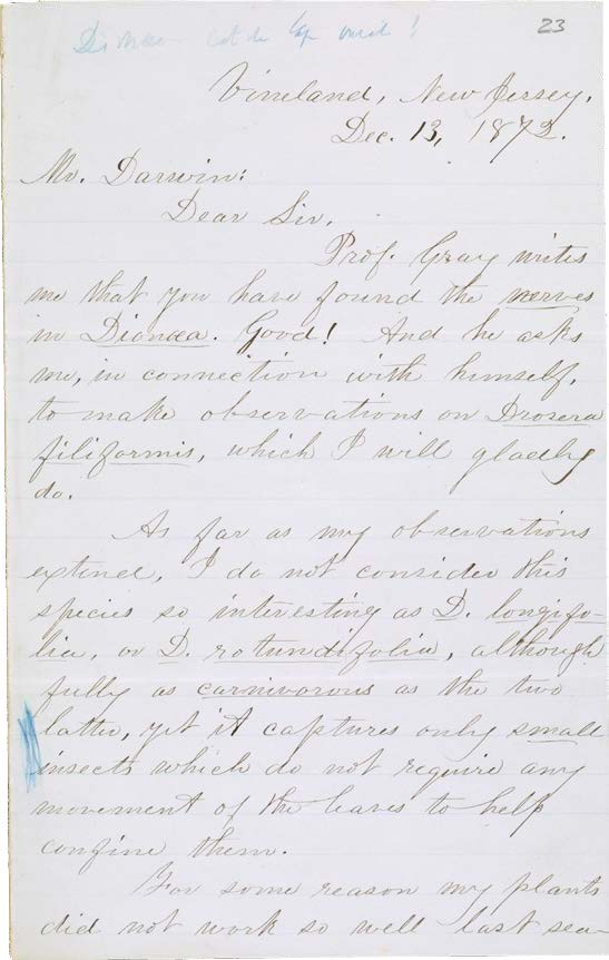 Mary Treat Letter.jpg | Darwin Correspondence Project